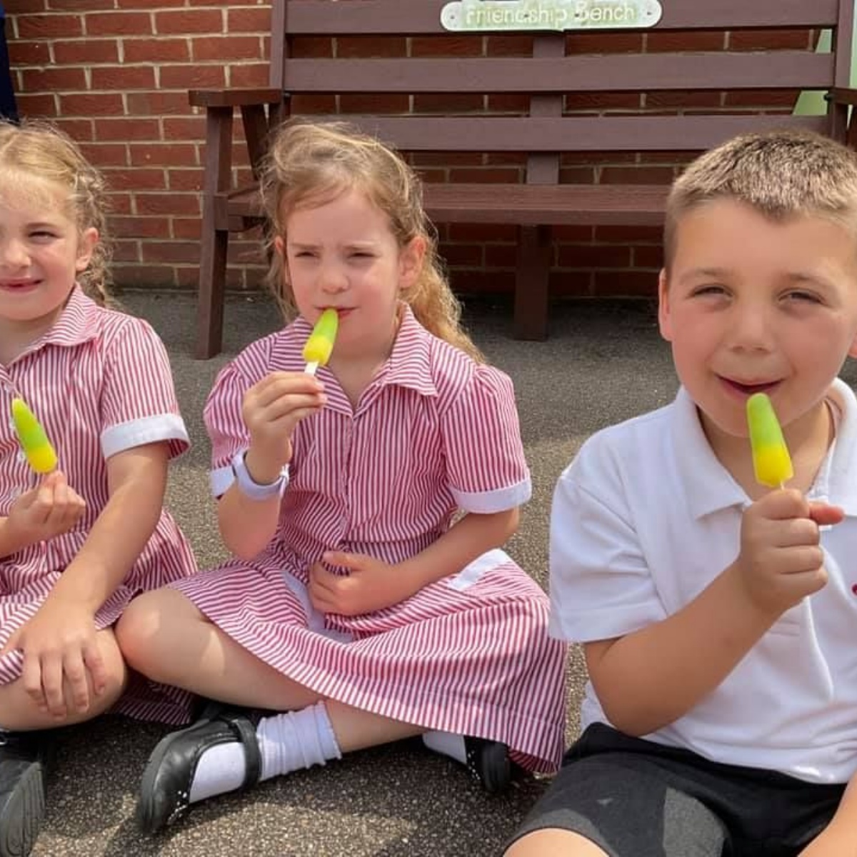 Ayscoughfee Hall School - Ice Lolly Friday!
