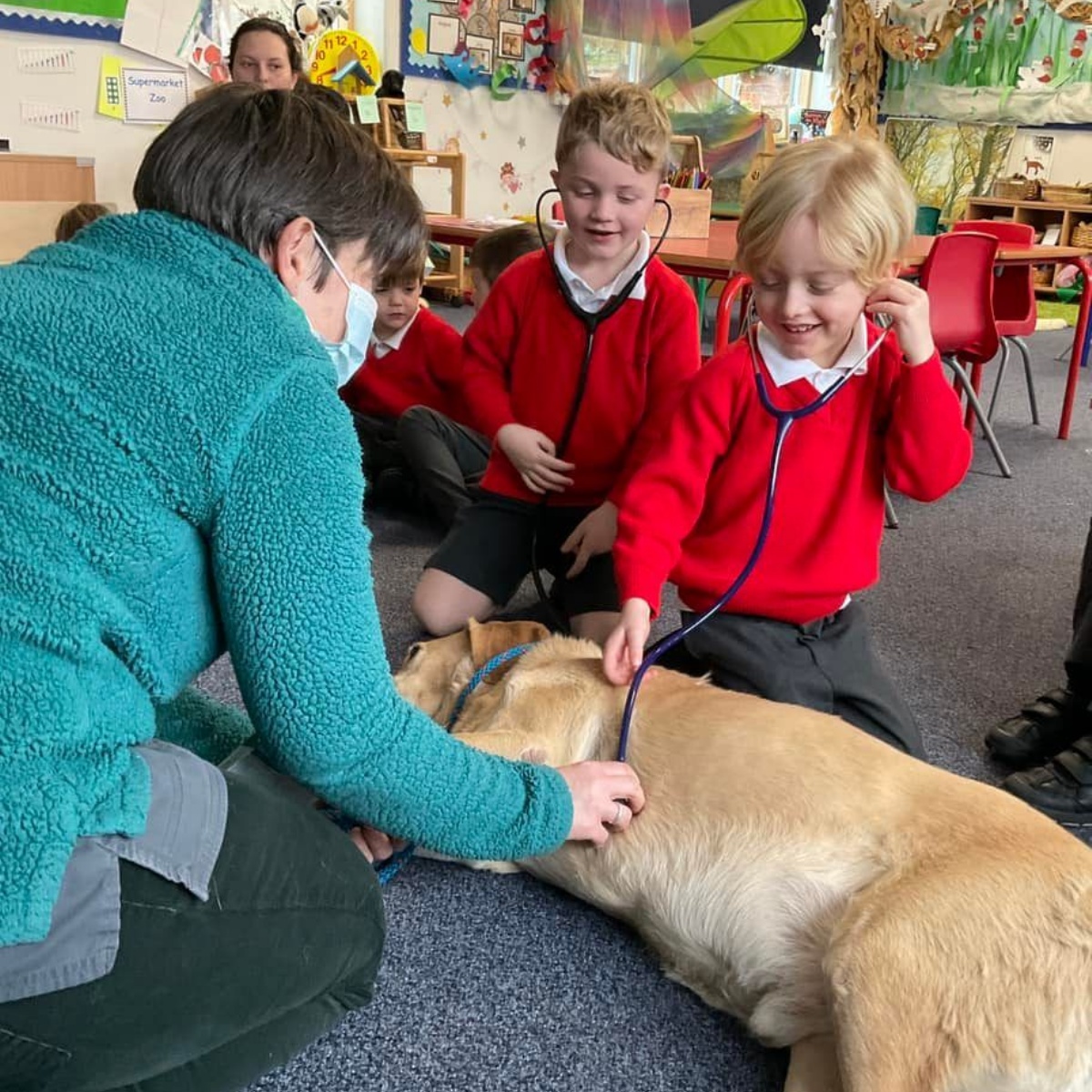 Ayscoughfee Hall School - Fur, Feathers and Fangs