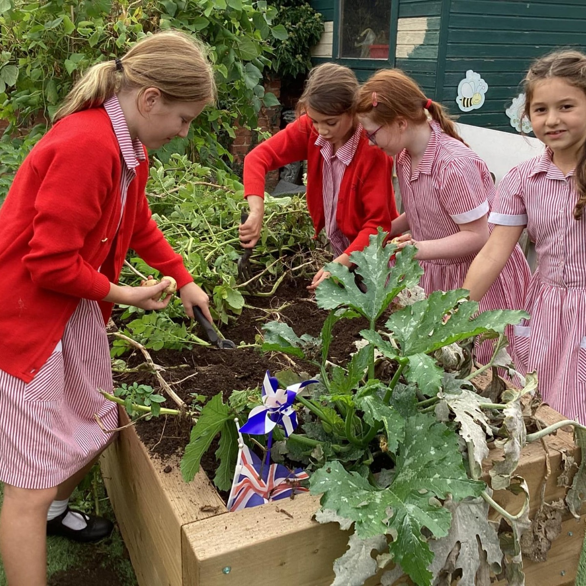 Ayscoughfee Hall School - Vegetable Sale